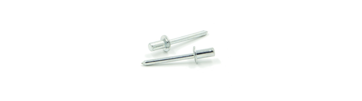Sealed blind rivets Steel/Steel
